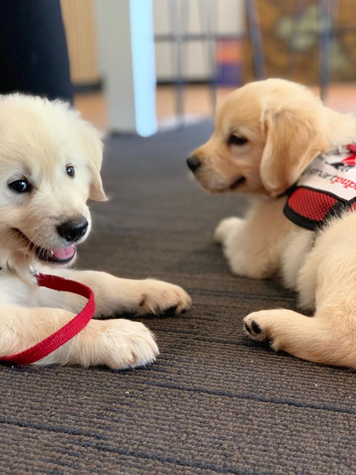 Community - Easts Leagues Club